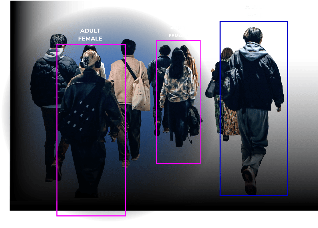 The Best People Counting Software for Retail Analytics | Vemco Group