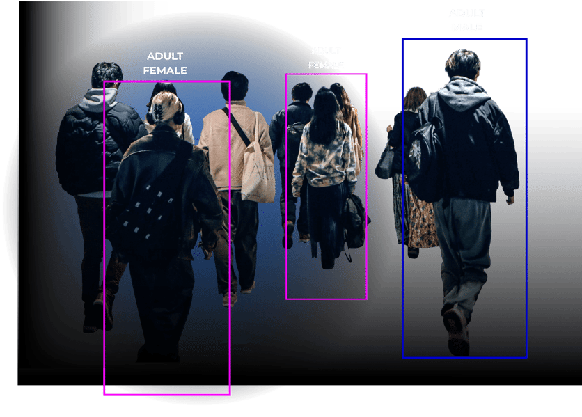 The Best People Counting Software for Retail Analytics | Vemco Group